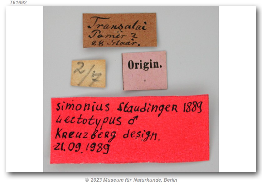 Parnassius s. simonius (type specimens)
