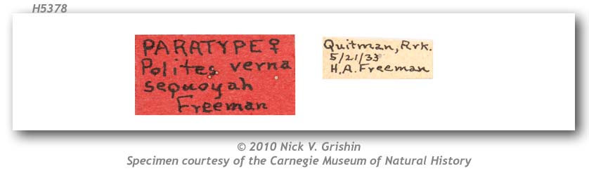 Pompeius verna sequoyah (type specimens)