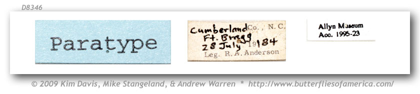 Neonympha mitchellii francisci (type specimens)